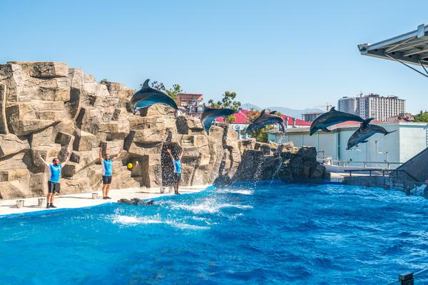 Discover Rustavi: A Hidden Gem in Georgia's Kvemo Kartli Region