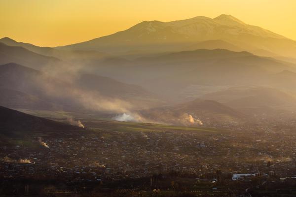 Georgian Tarragon Soda - Tarkhun: A Timeless Culinary Heritage