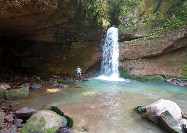 Georgian Tarragon Soda - Tarkhun: A Timeless Culinary Heritage