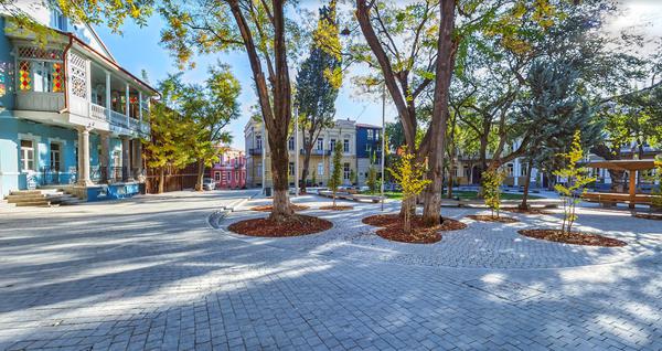 Georgian Tarragon Soda - Tarkhun: A Timeless Culinary Heritage
